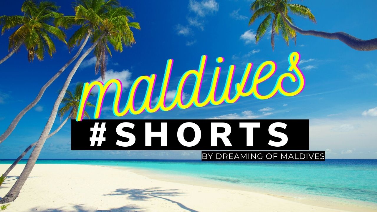 Série de Courtes Vidéos des Maldives par Dreaming of Maldives