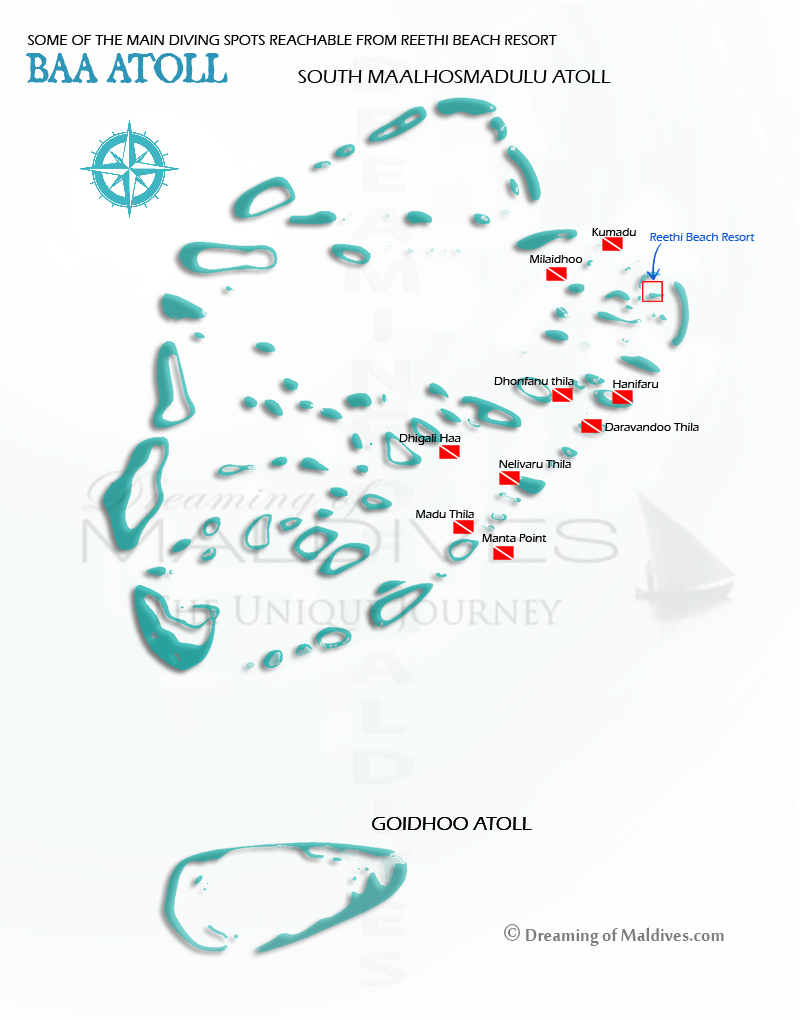 Diving and Snorkeling at Reethi Beach Resort, Baa Atoll. Interview with ...