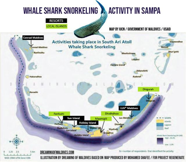 SAMPA the world’s most unique site for Whale Sharks is in Maldives
