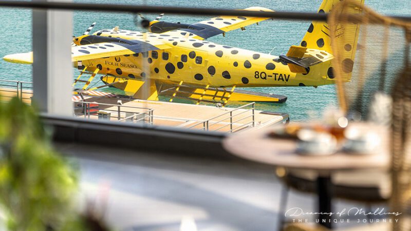 Four Seasons Maldives new private seaplane : the Flying Boxfish.