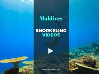 Opening of Bulgari Maldives in 2026. Update