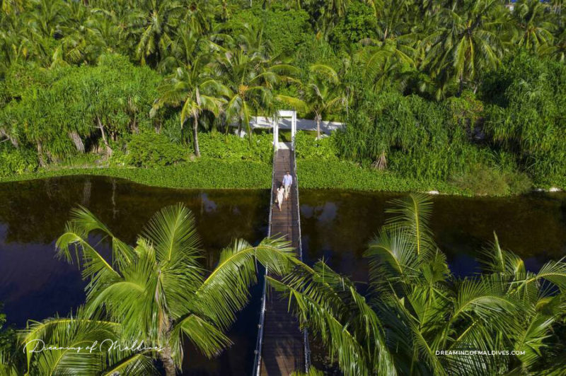 Dreaming of Pullman Maldives 5* All Inclusive Luxury Resort