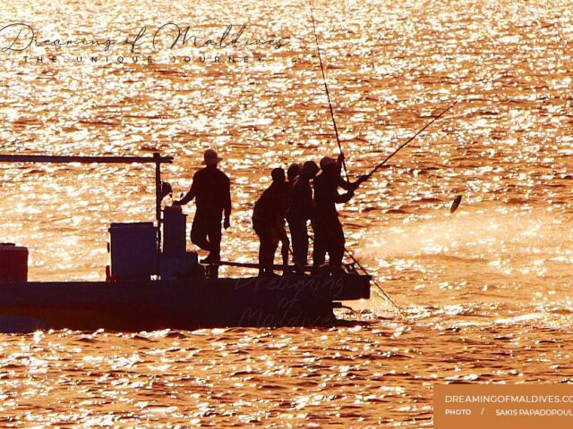 Opening of Bulgari Maldives in 2026. Update