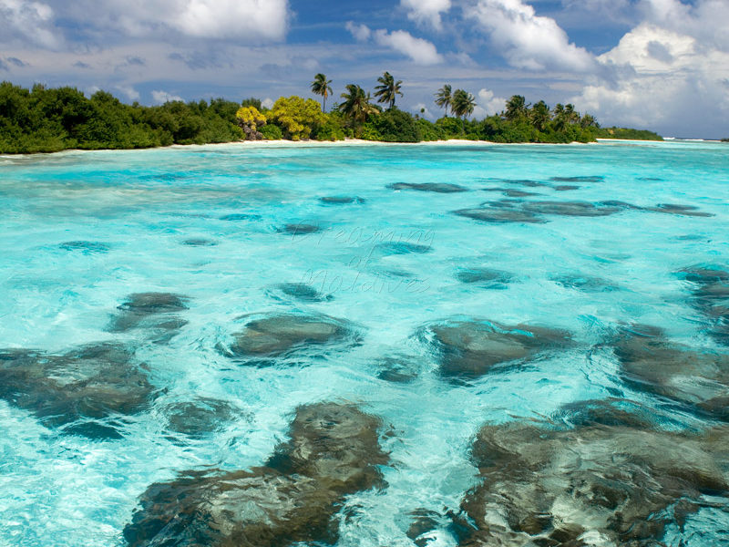 Discover the Maldives : Essential Travel Resources and Information