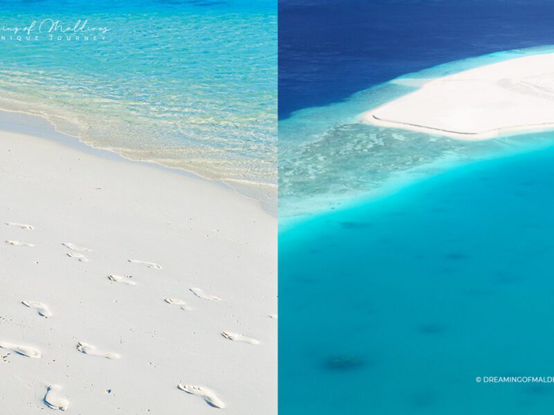 Discover the Maldives : Essential Travel Resources and Information