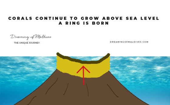 The Story of the formation of Maldives Atolls and Islands illustrated