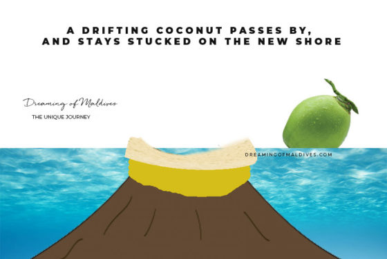 The Story of the formation of Maldives Atolls and Islands illustrated