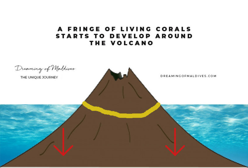 The Story of the formation of Maldives Atolls and Islands illustrated