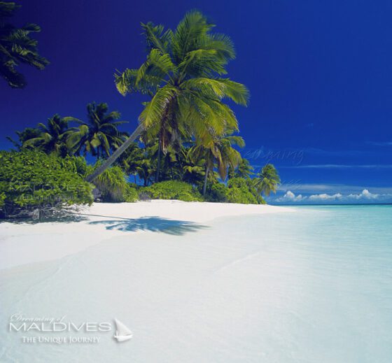 Complete Guide to Maldives Weather & Climate | Best Time to Visit