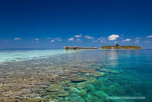 Maldives Best House Reefs in 2026 - The TOP Resorts